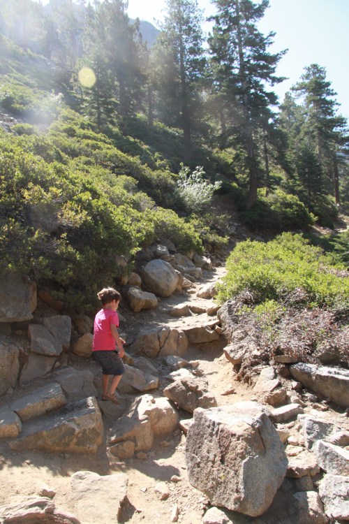 The Outdoors Parent | Into the wild with three small children